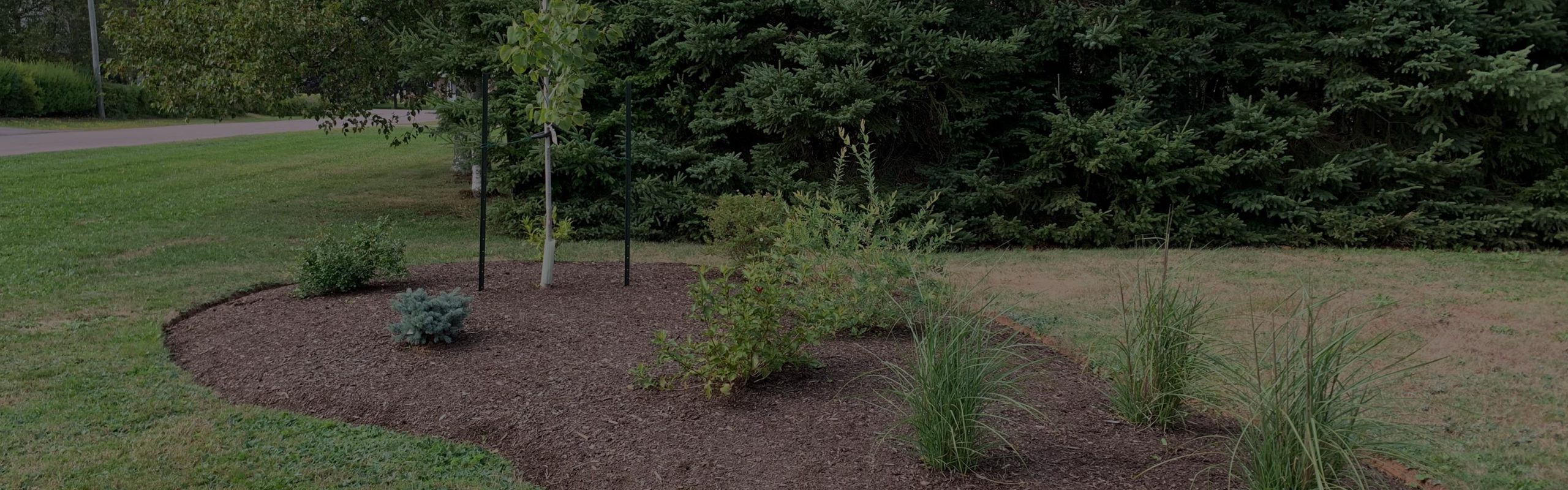 About | Spruce Grove Landscaping