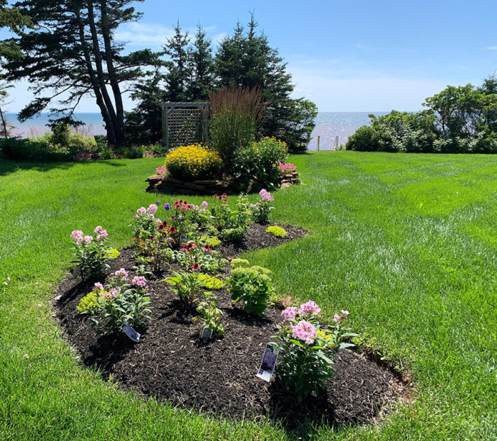 Our Services | Spruce Grove Landscaping